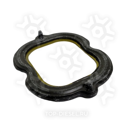 Прокладка коллектора ACM впускная Mercedes Benz AXOR/SETRA/CITARO ...